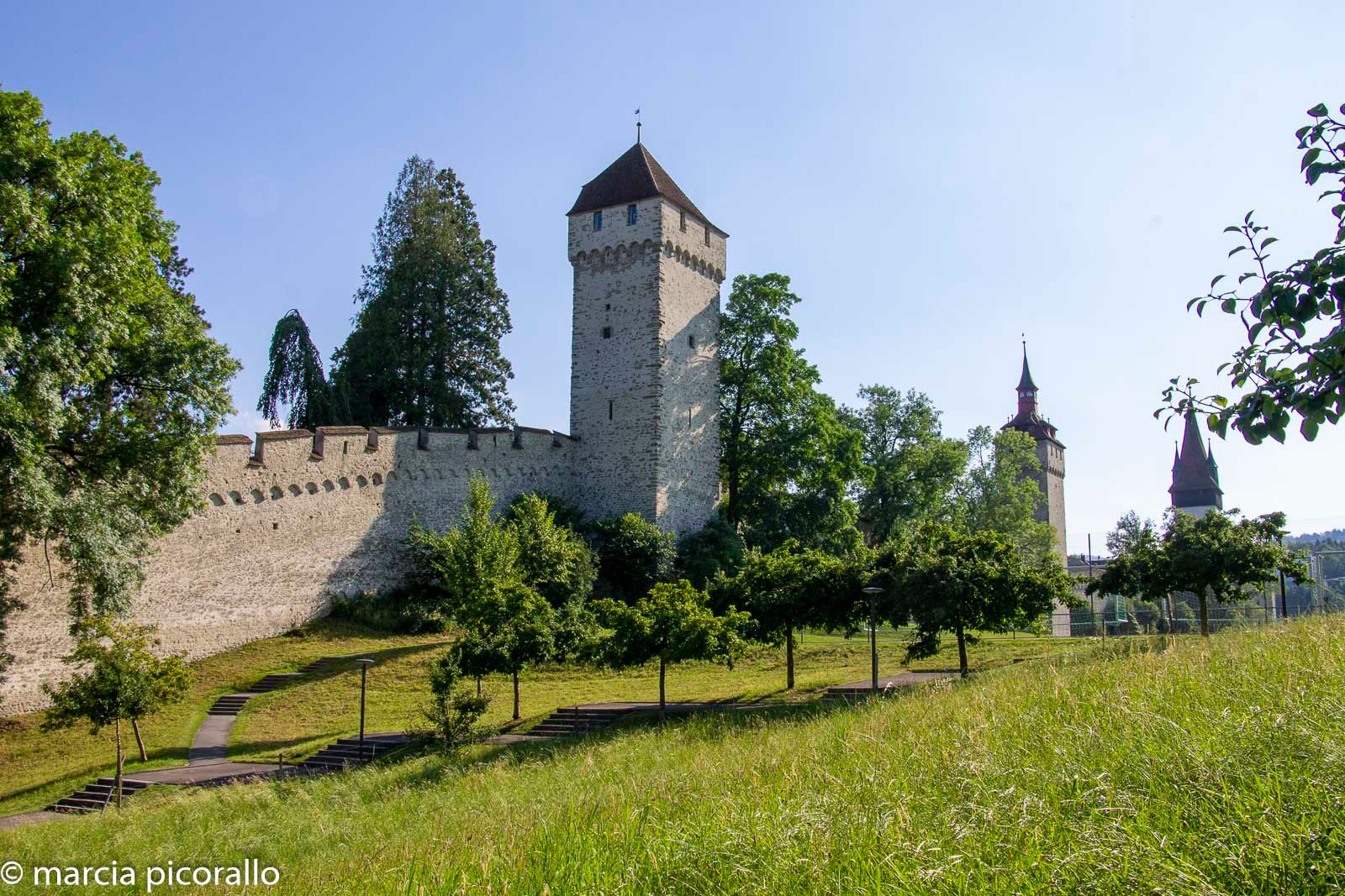 Lucerna: o que fazer em 1, 2 ou 3 dias e outras dicas