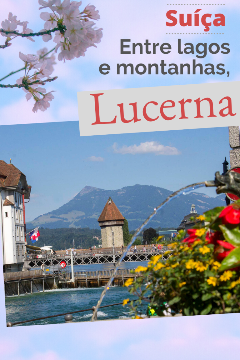 Lucerna: o que fazer em 1, 2 ou 3 dias e outras dicas