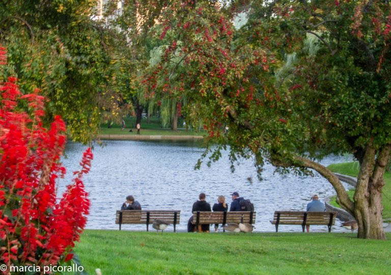 O que fazer em Boston em 2 ou 3 dias - Mulher Casada Viaja