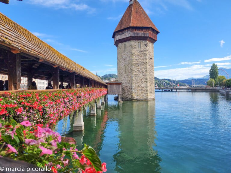 Lucerna: o que fazer em 1, 2 ou 3 dias e outras dicas